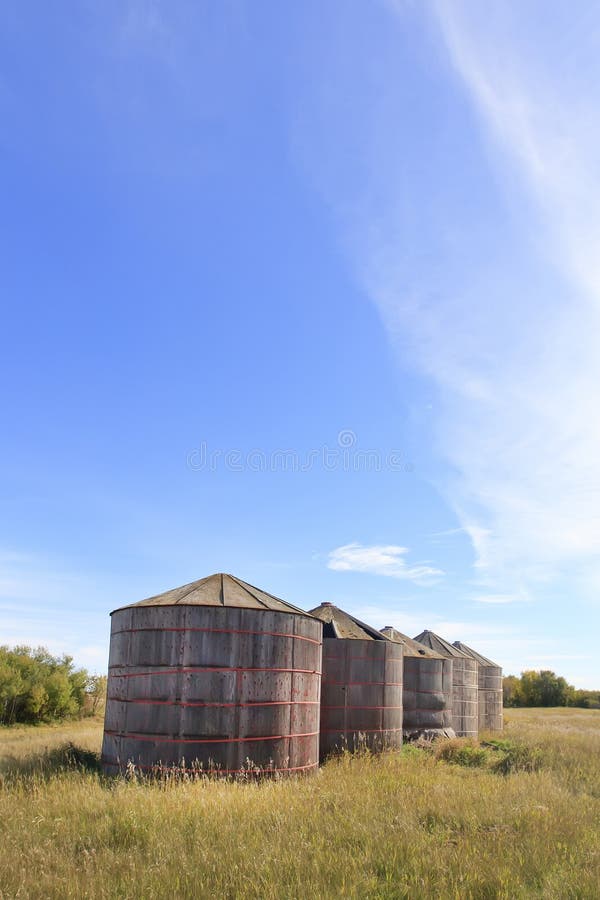 Silos Di Immagazzinamento Di Legno Del Granulo Immagine Stock ...