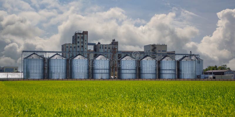 Silos Granary Elevator on Agro-industrial Complex with Seed Cleaning ...