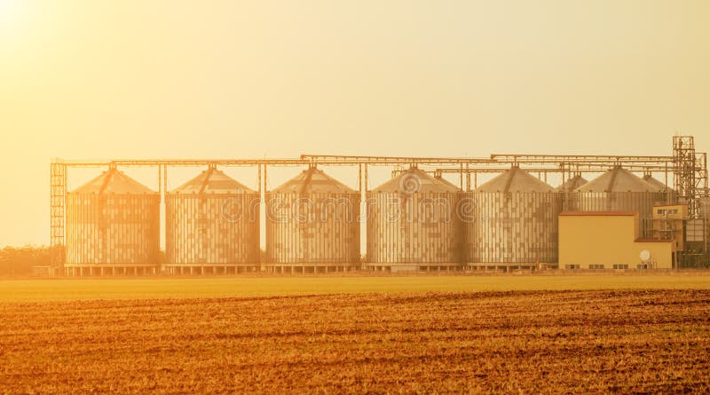 Silos and Granary Elevator. Modern Agro-processing Manufacturing Plant ...