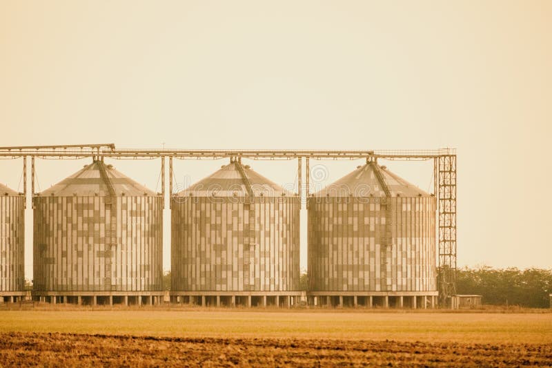 Silos and Granary Elevator. Modern Agro-processing Manufacturing Plant ...