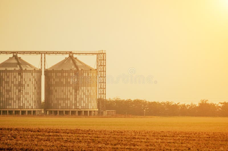 Silos and Granary Elevator. Modern Agro-processing Manufacturing Plant ...