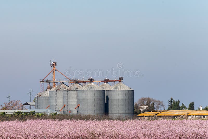 Storage of Cereals, Agro Granary Stock Photo - Image of crop ...