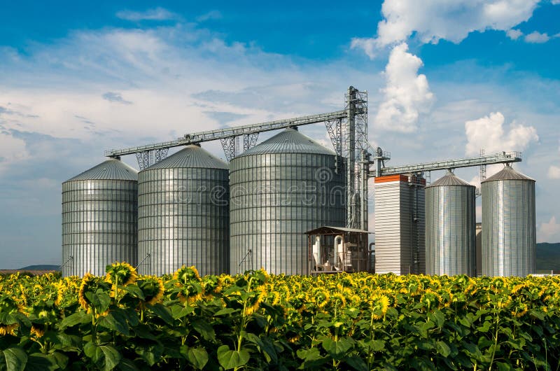 Silos. Warehouse for Storing Grain. Stock Image - Image of industry ...