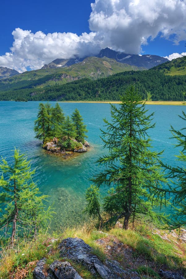 Silsersee imagen de archivo. Imagen de pico, majestuoso - 65178945