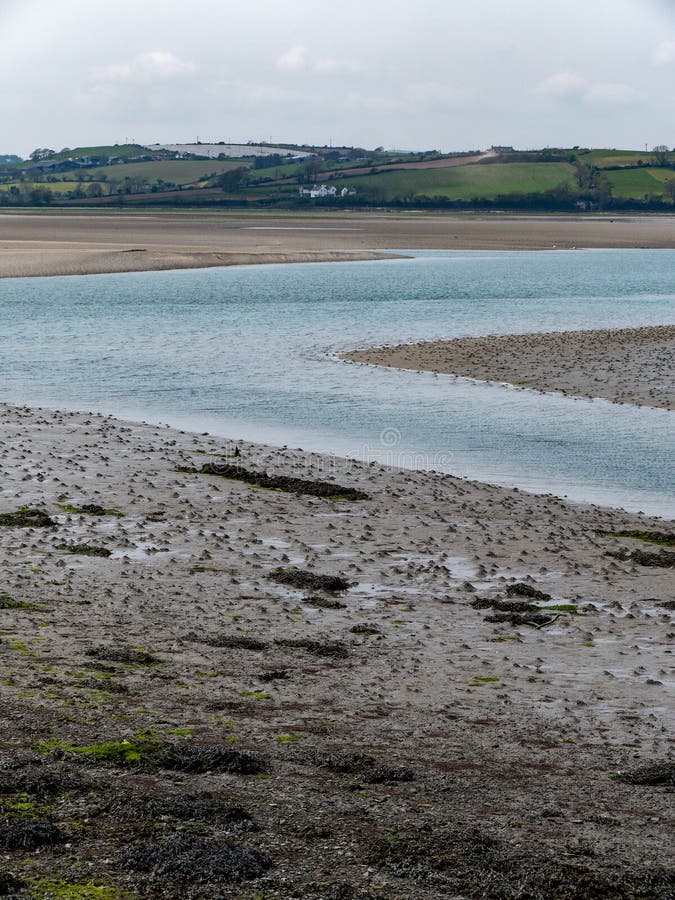 146 Seabed Sediment Stock Photos - Free & Royalty-Free Stock Photos ...