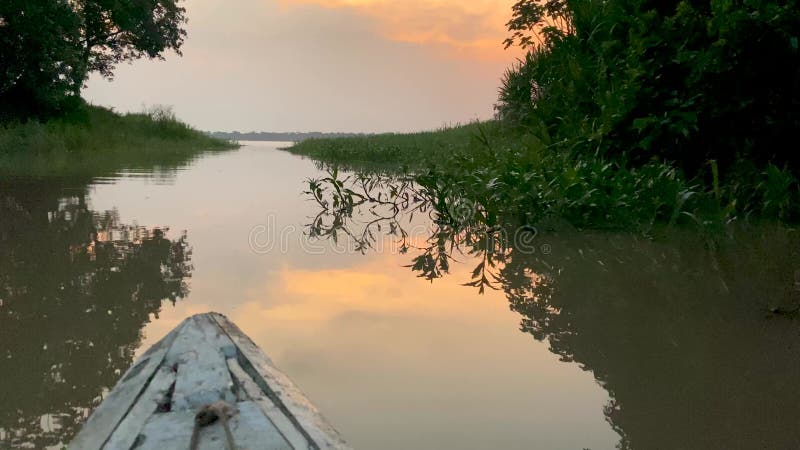 The Silty Amazon River from a Canoe Stock Footage - Video of ...