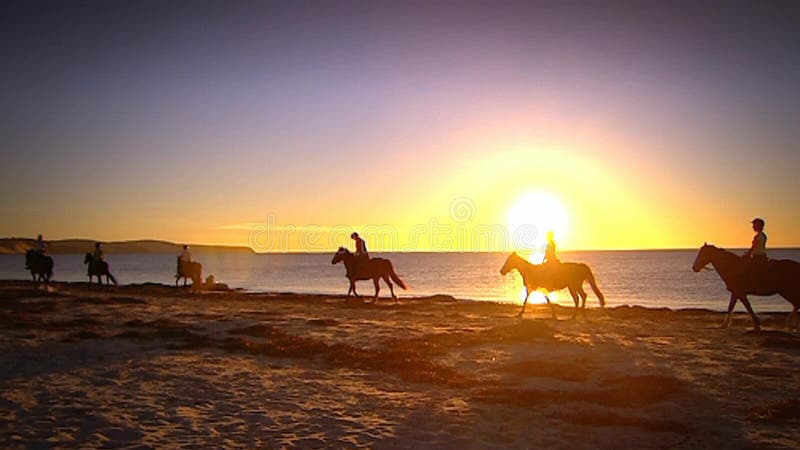 Playa Con Siluetas Metraje Stock– 54,821 Playa Con Siluetas Videos ...