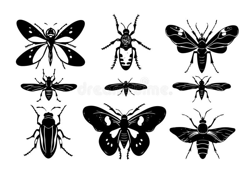 Silueta De Conjunto De Insectos Ilustración del Vector - Ilustración de ...