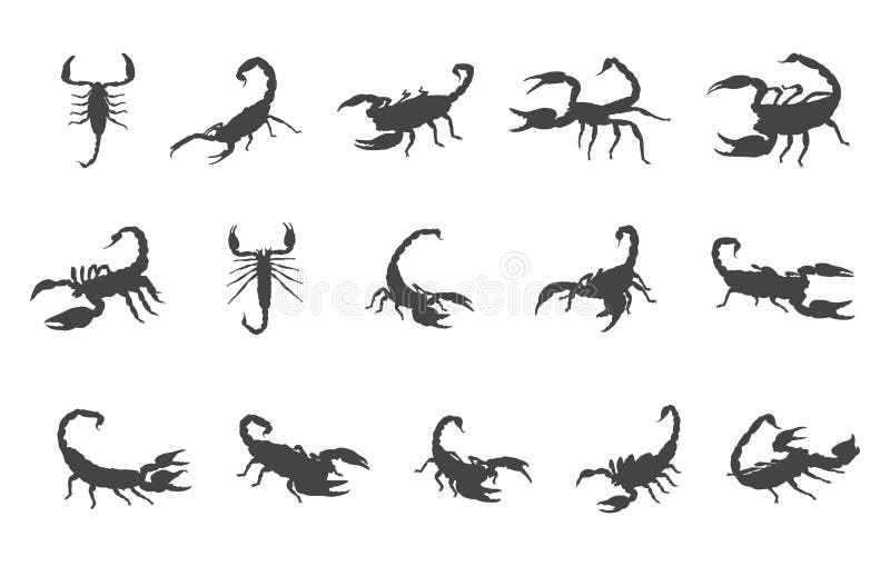 Silueta De Escorpión Escorpión Svg Escorpión Vectorial Escorpión Logo ...
