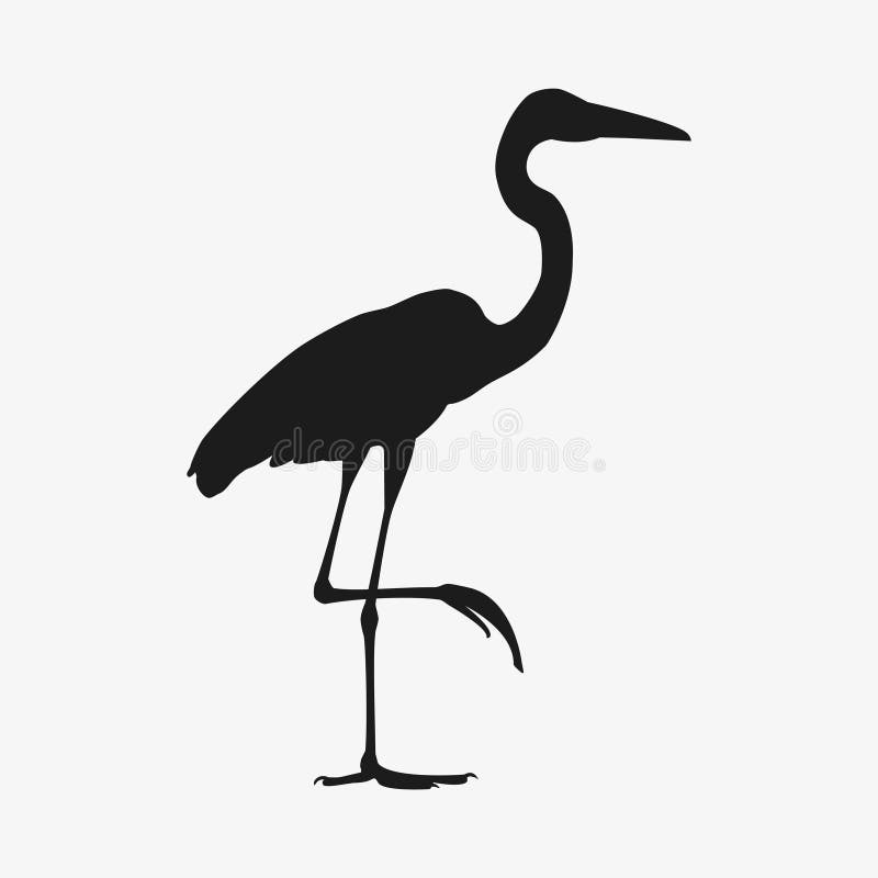 Silueta de la garza stock de ilustración. Ilustración de ornitología ...