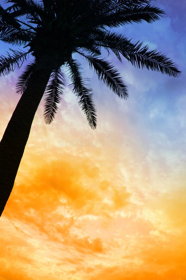 Silueta del fotógrafo. foto de archivo. Imagen de oscuridad - 19432156