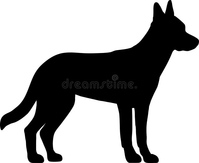 Silueta de Malinois ilustración del vector. Ilustración de perro ...