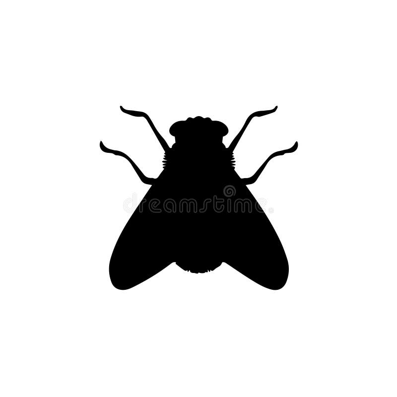 Silueta De Mosca Sobre Fondo Blanco Stock de ilustración - Ilustración ...