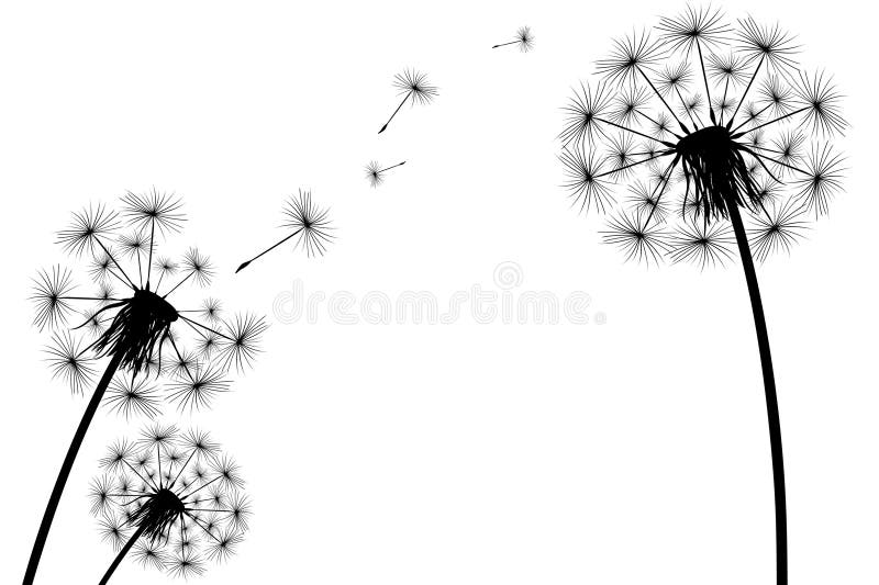 Silueta De Un Simple Diente De León Ilustración del Vector ...