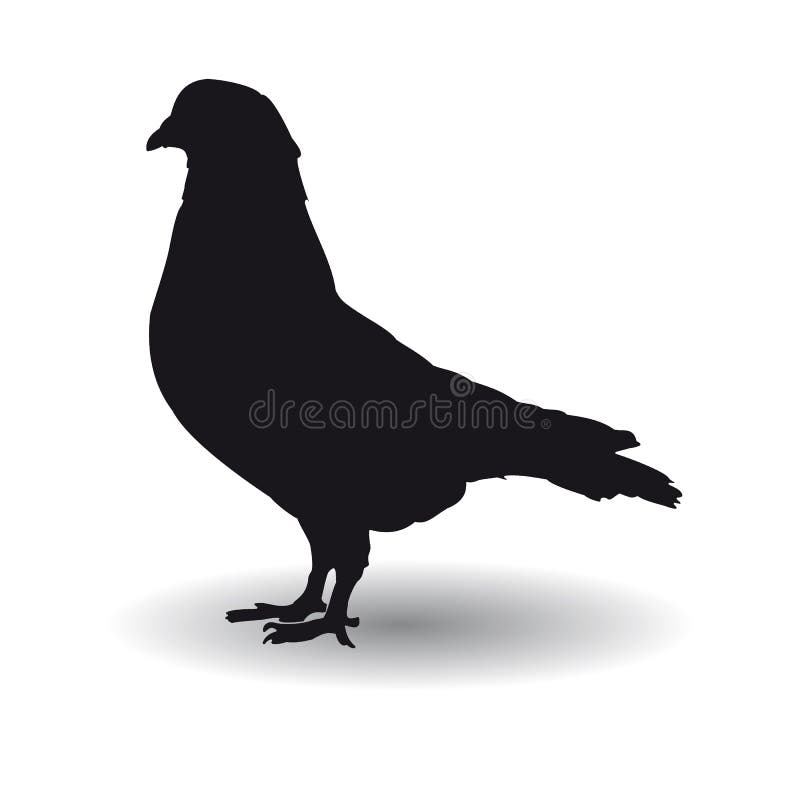 Silueta De Una Paloma Ejemplo Del Vector Para Su Dren Stock de ...