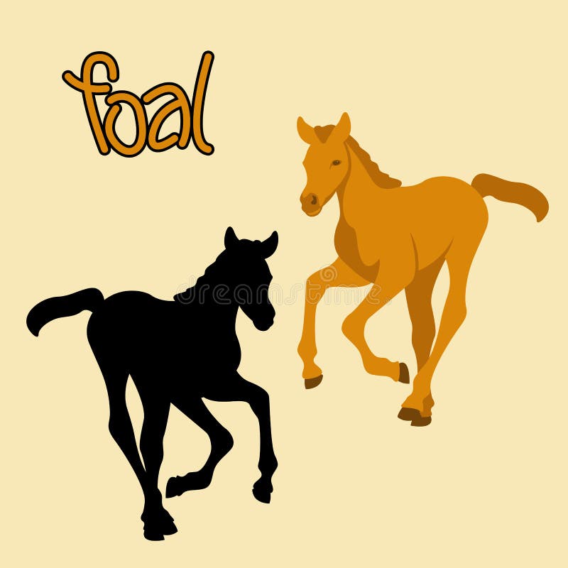 Silueta Del Potro Con Las Flores Y El Modelo De Puntos Ilustración del ...