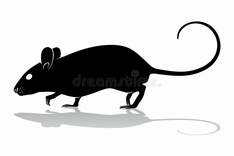 Diseño Vectorial De Iconos De Silueta De Ratón. Ilustración Vectorial ...
