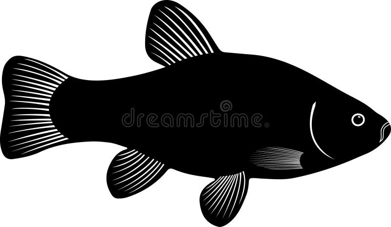 Silueta Del Vector De Tencas Ilustración del Vector - Ilustración de ...