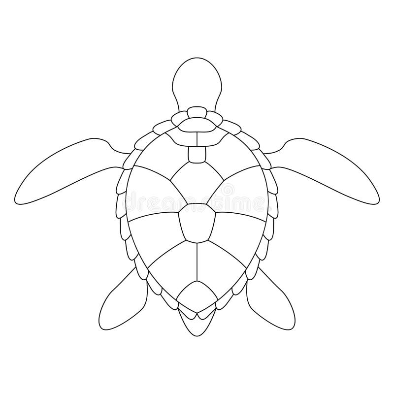 Tortuga Una Silueta Ilustraciones Stock, Vectores, Y Clipart – (484 ...