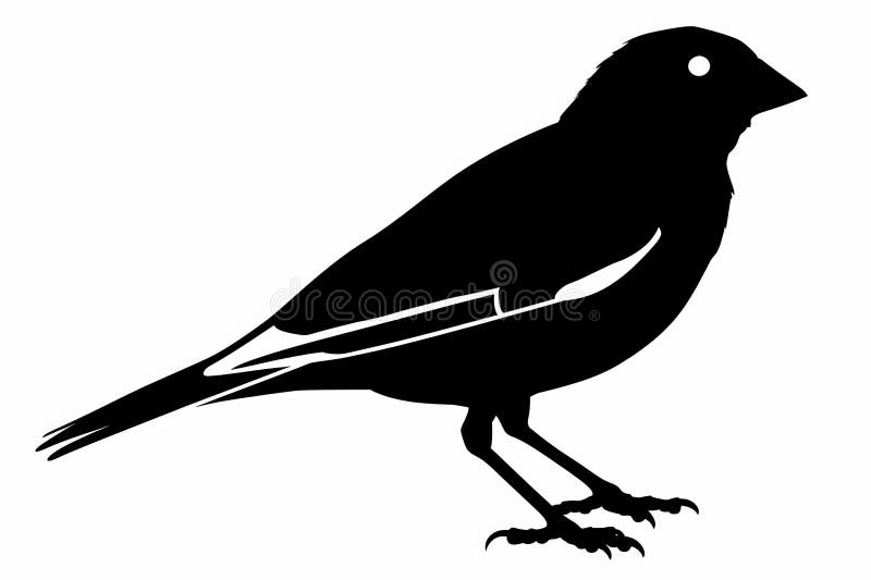 Silueta negra de un ave stock de ilustración. Ilustración de majestuoso ... Silueta negra de un ave stock de ilustración. Ilustración de majestuoso ...