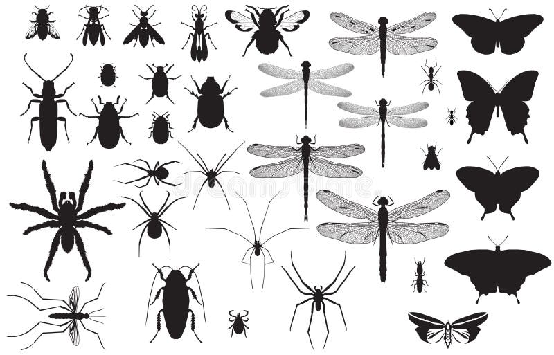 Ocho siluetas del insecto ilustración del vector. Ilustración de bicho ...