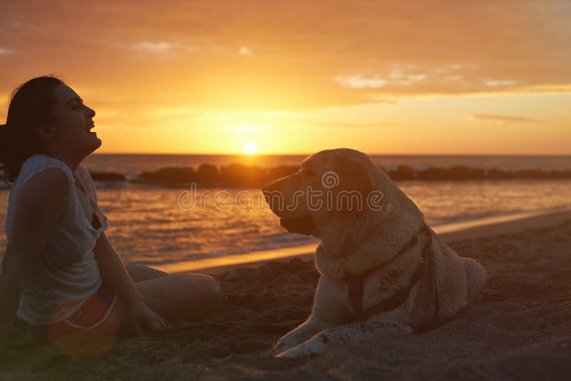 Siluetta Della Ragazza Di Risata Con Il Cane Di Labrador Fotografia ...
