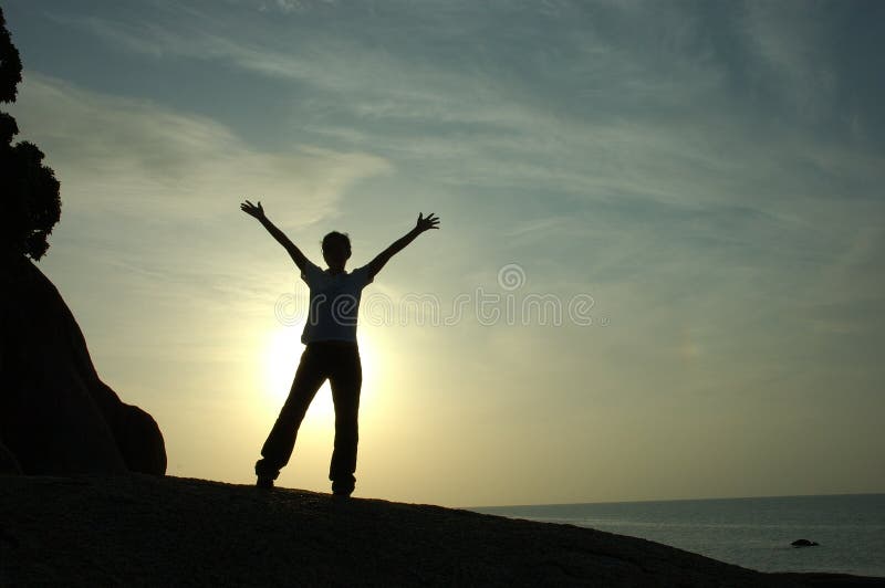 Siluetta Di Successo E Di Successo Immagine Stock - Immagine di ...