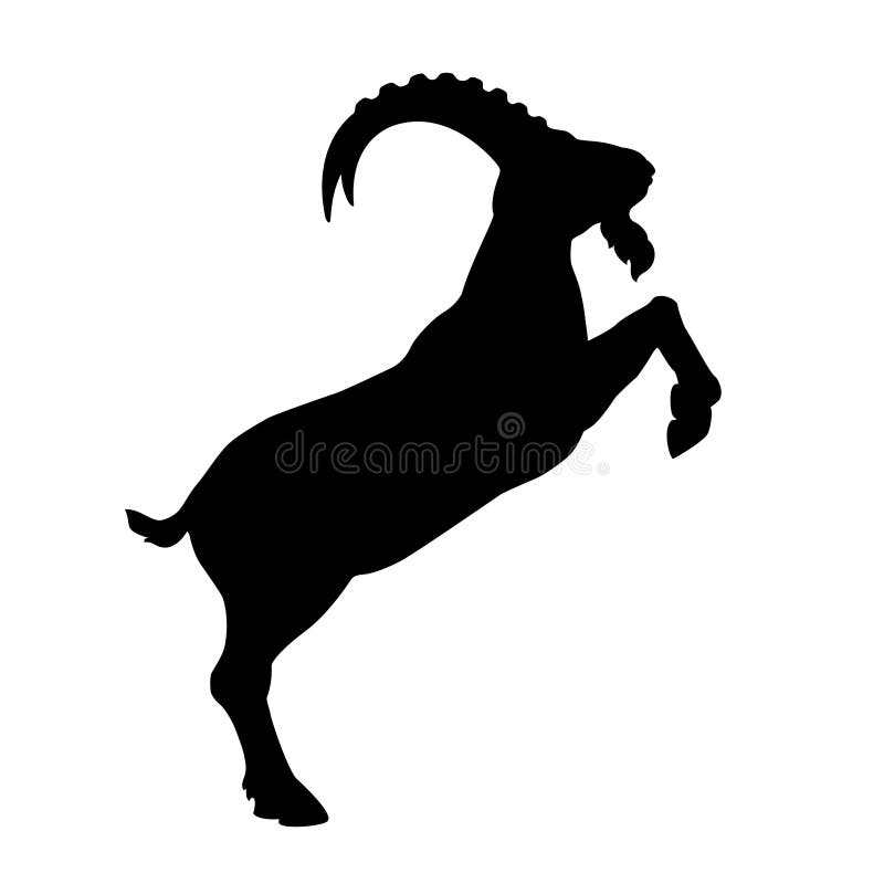 Siluetta Nera Di Un'elevazione Sullo Stambecco Della Capra Selvaggia ...