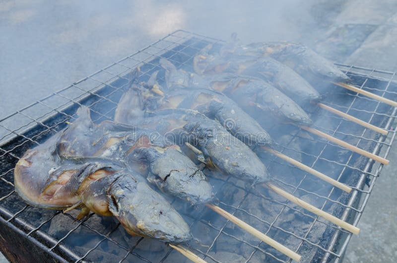 Siluro Asado a La Parrilla Comida Tailandesa Imagen de archivo - Imagen ...