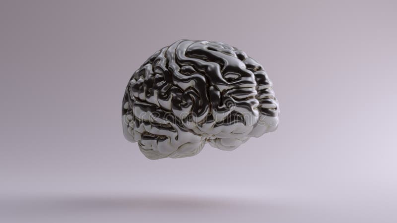Silver Anatomical Brain Stock Illustrations – 64 Silver Anatomical ...
