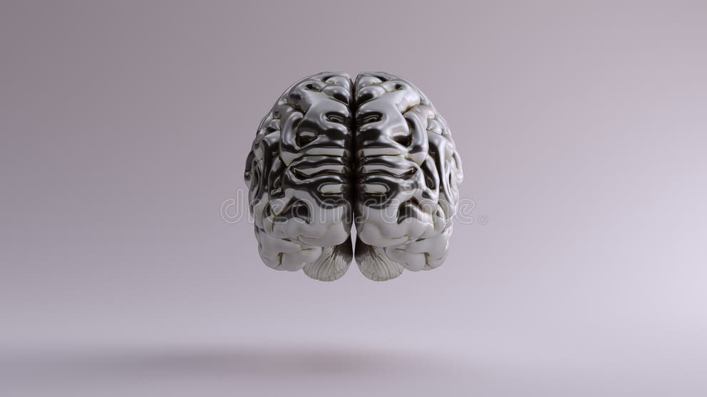 Silver Anatomical Brain stock illustration. Illustration of medicine ...