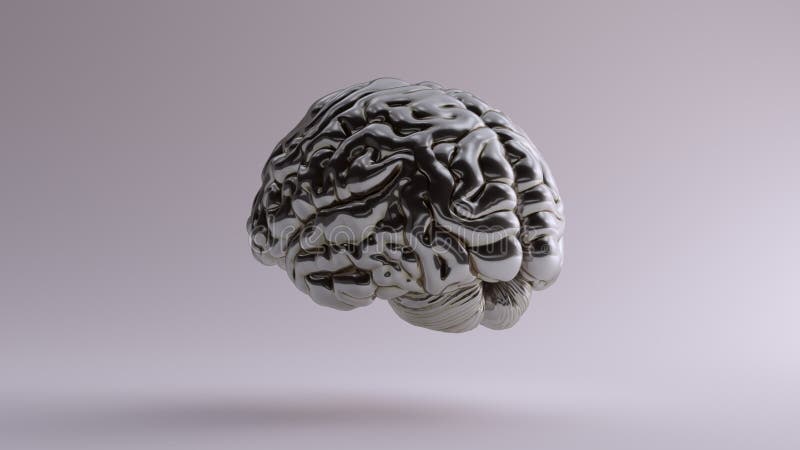 Silver Anatomical Brain stock illustration. Illustration of intellect ...