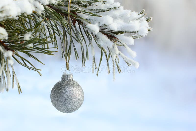 Silver Ball on Pine Tree in Winter Forest Stock Photo - Image of ball ...