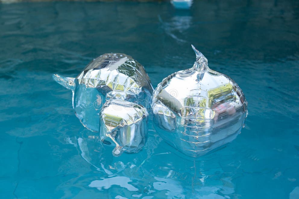Silver Balloons Float in Pools As Birthday Party Decorations Stock ...