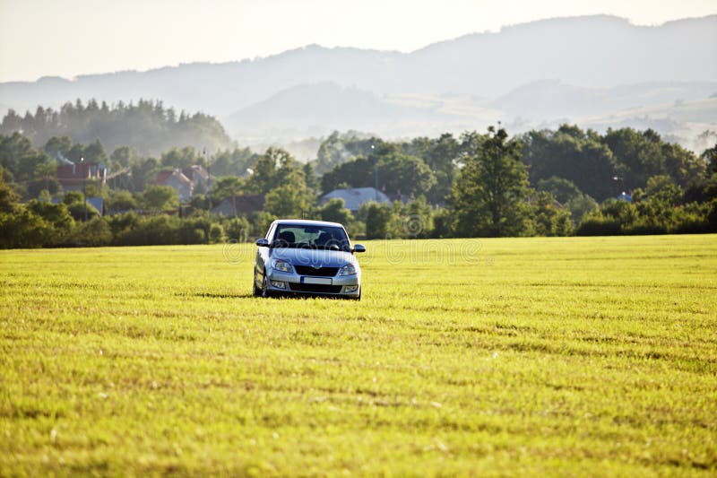 Silver Car In Between Green Leafed Trees Picture. Image: 116696035
