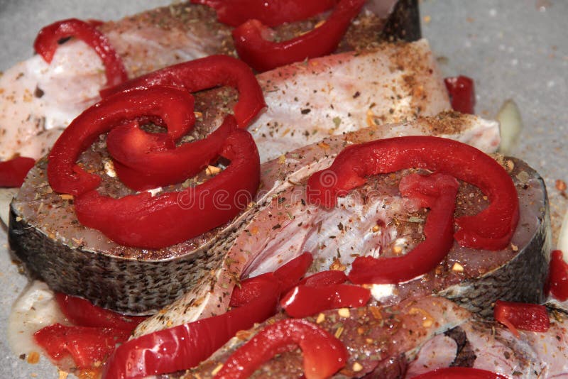 Silver Carp Fish Fillet with Spices and Red Pepper Stock Image - Image ...