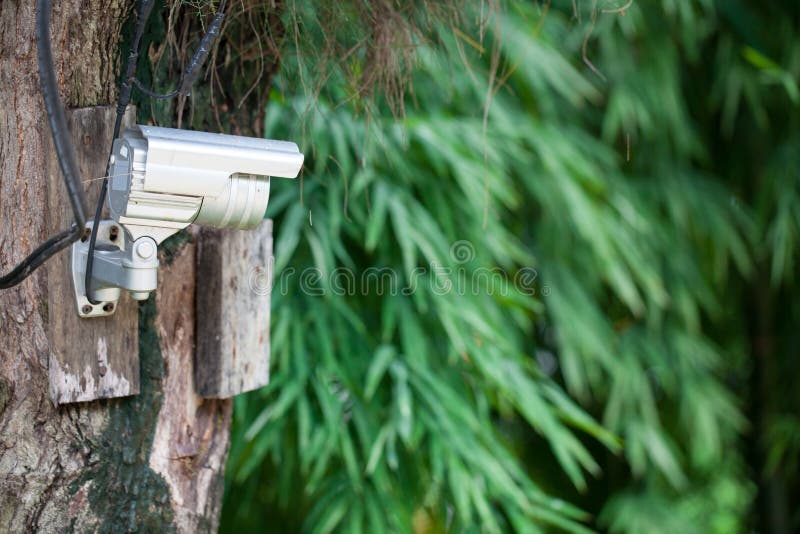 Silver CCTV Camera. Protection Security System Watching People Stock ...