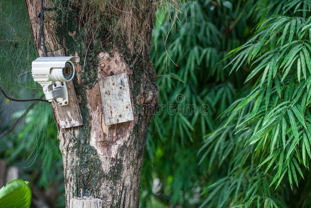 Silver CCTV Camera stock image. Image of resident, spectator - 42918561