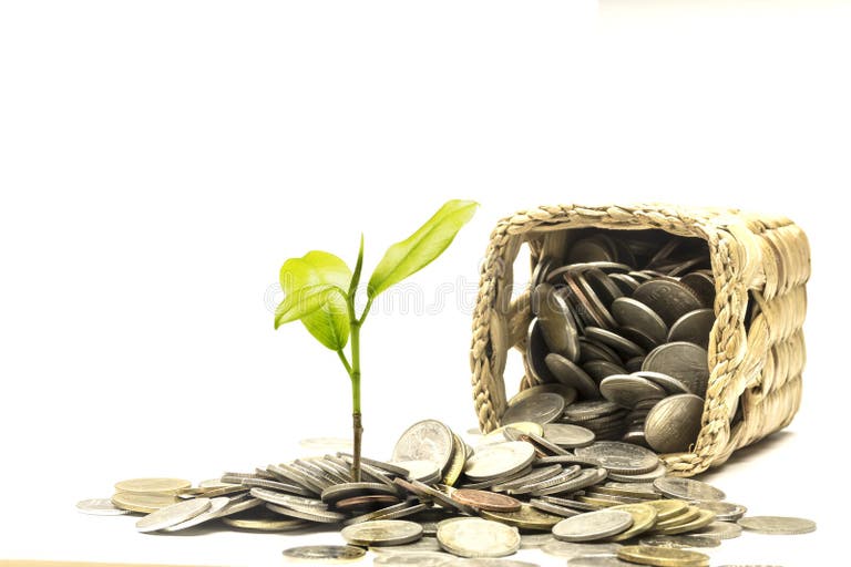 Silver Coins with Trees Growing Stock Image - Image of business, loan ...