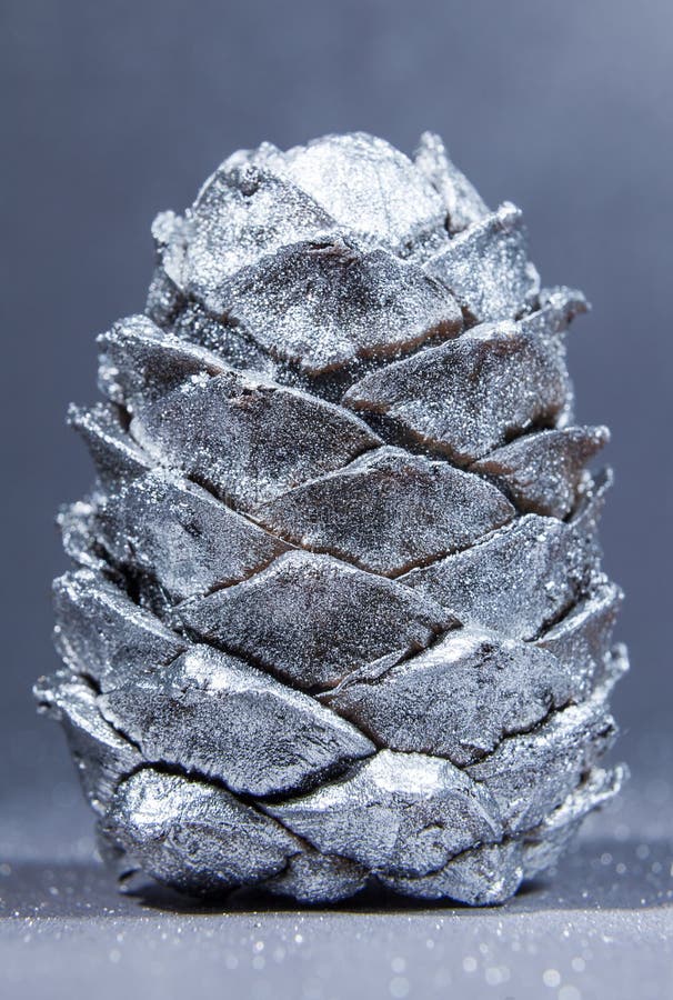 Silver-colored cedar cone. stock image. Image of texture - 205776805