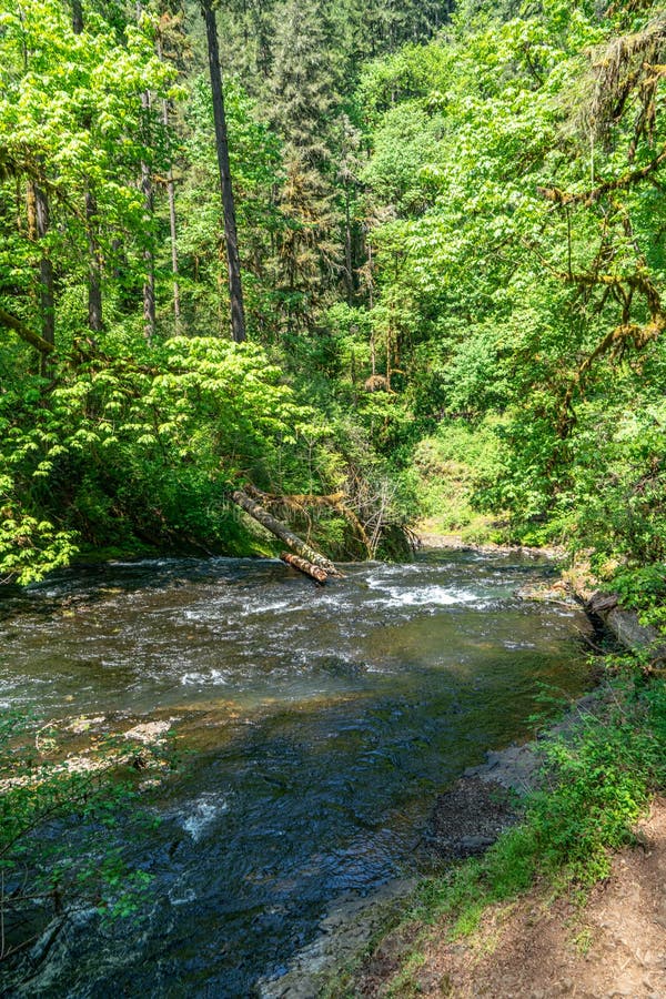 Silver Creek from Trail 5 stock image. Image of falls - 280330159