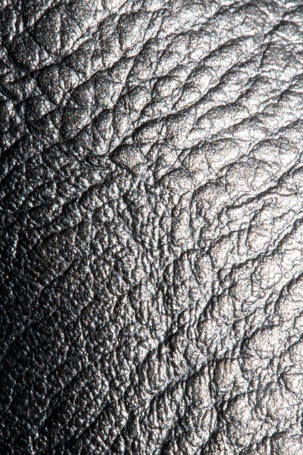 Silver Distressed Leather Crumbled Old Texture Folds for Background ...