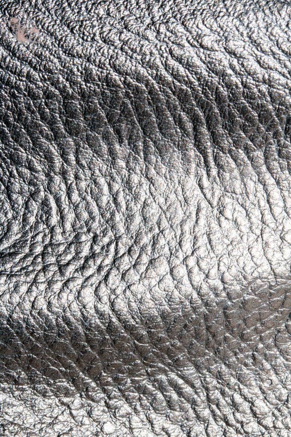Silver Distressed Leather Crumbled Old Texture Folds for Background ...