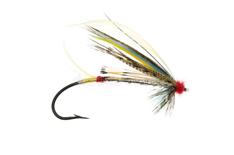 Silver Doctor Salmon Fly stock image. Image of fishing - 60322979