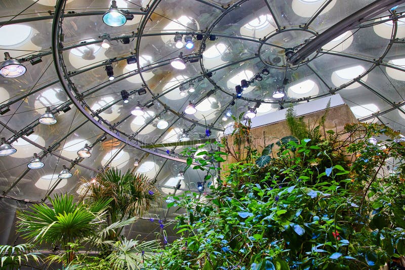 Silver Dome with Lights Over Rainforest Biome with Wall Covered in ...