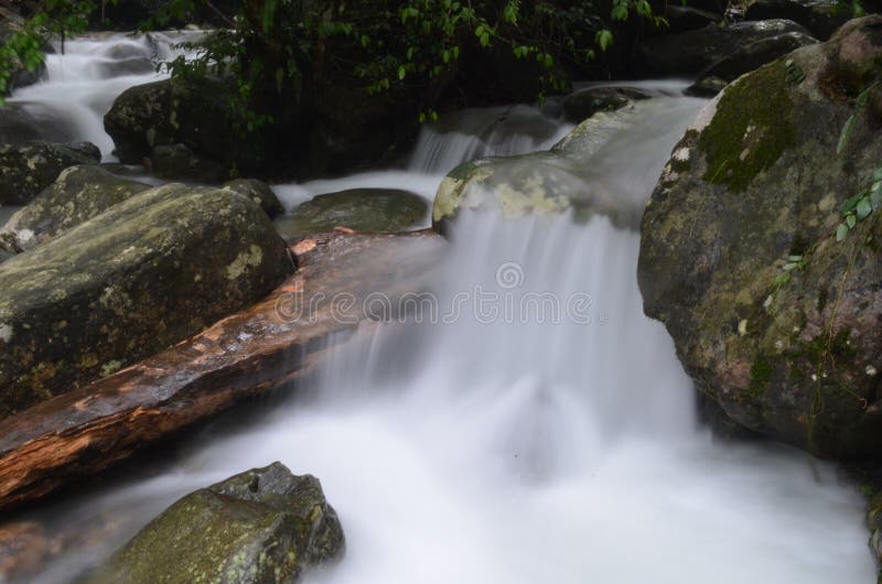 Silver fall stock image. Image of afternoon, house, flower - 76162879