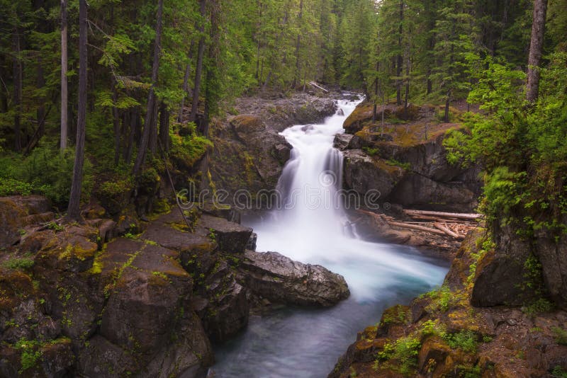 Silver Falls in Mt Rainier NP Stock Image - Image of silver, vacation ...