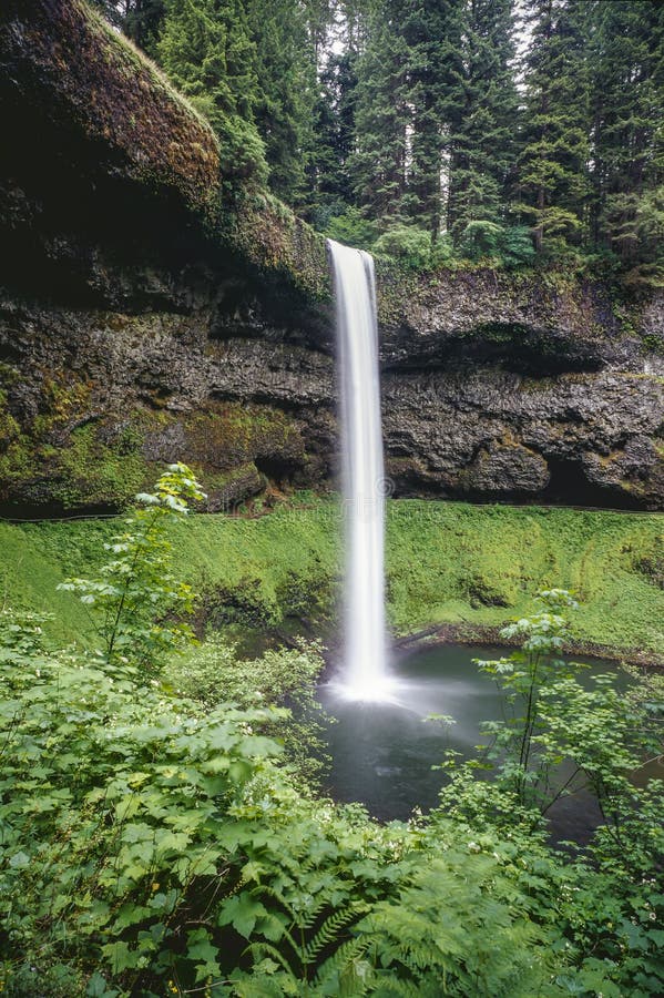 Oregon Cascade Mountains, Silver Falls State Park Stock Image - Image ...
