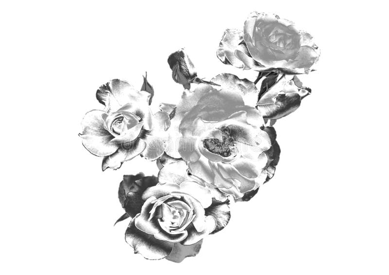 Silver flower stock photo. Image of roses, flower, textures - 96062752