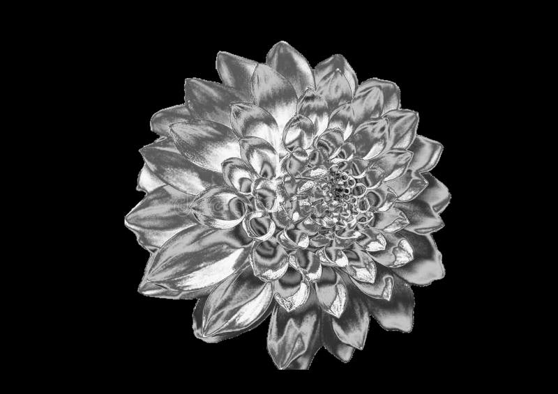 Silver flower stock photo. Image of tulips, rose, closeup - 96062822